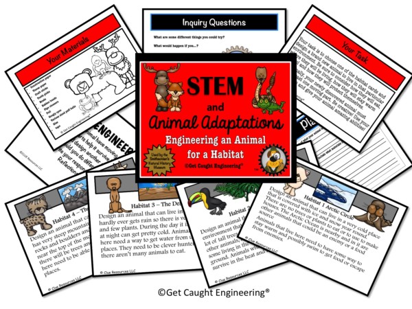 Best STEM Challenge Ever - Get Caught Engineering - STEM Resources for ...