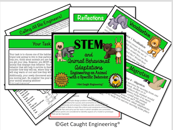 Best STEM Challenge Ever - Get Caught Engineering - STEM Resources for ...