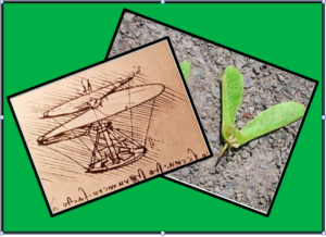 Take Flight With STEM! - Get Caught Engineering - STEM Resources for ...