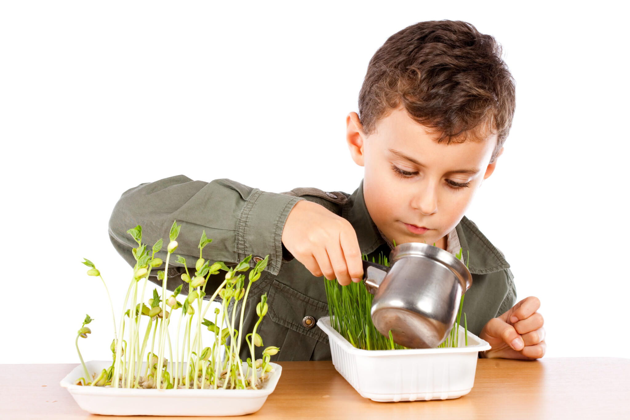 Planting STEM - Get Caught Engineering - STEM Resources for Teachers ...